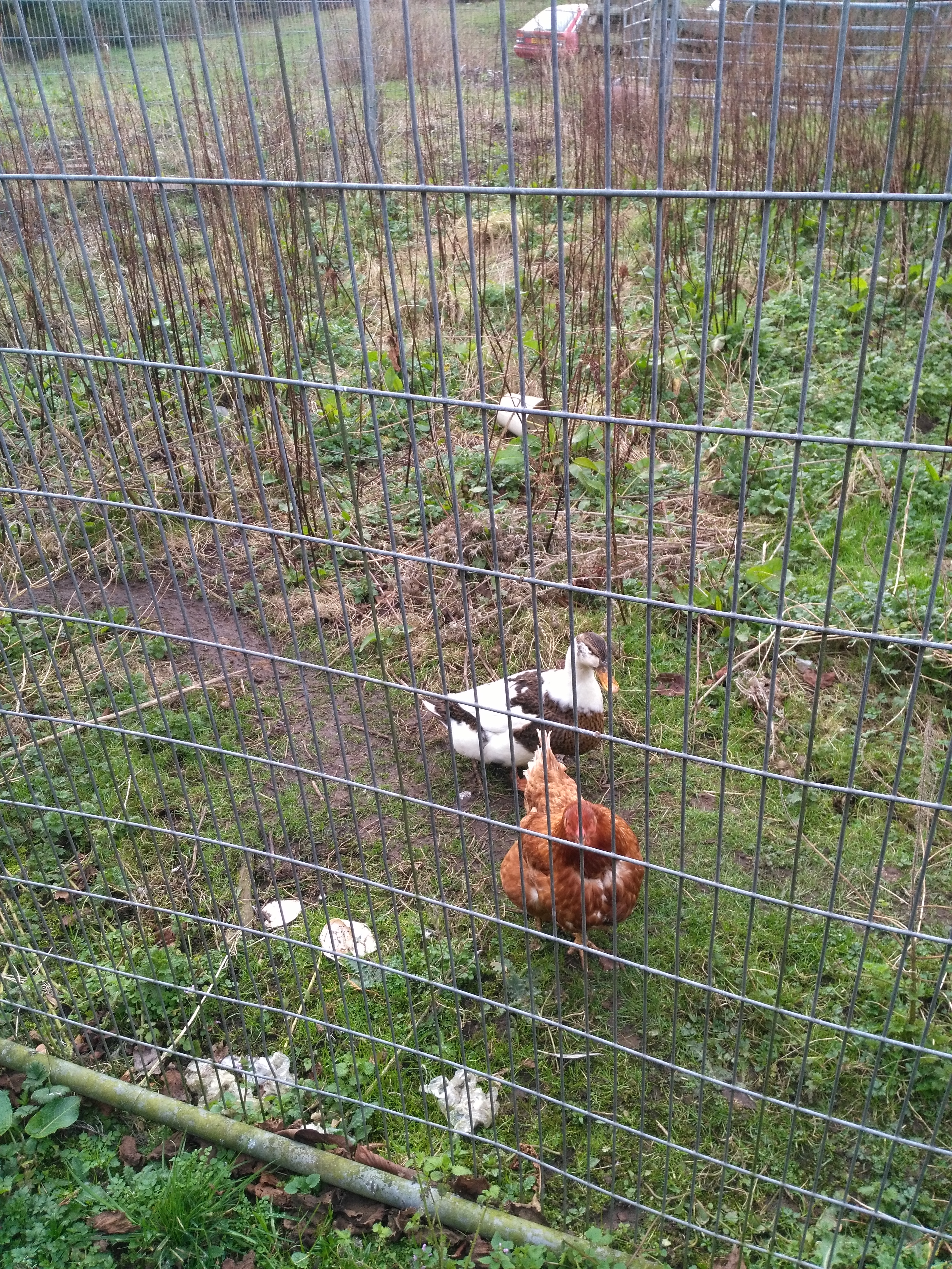 Saturday pics of the week - Jude Collins