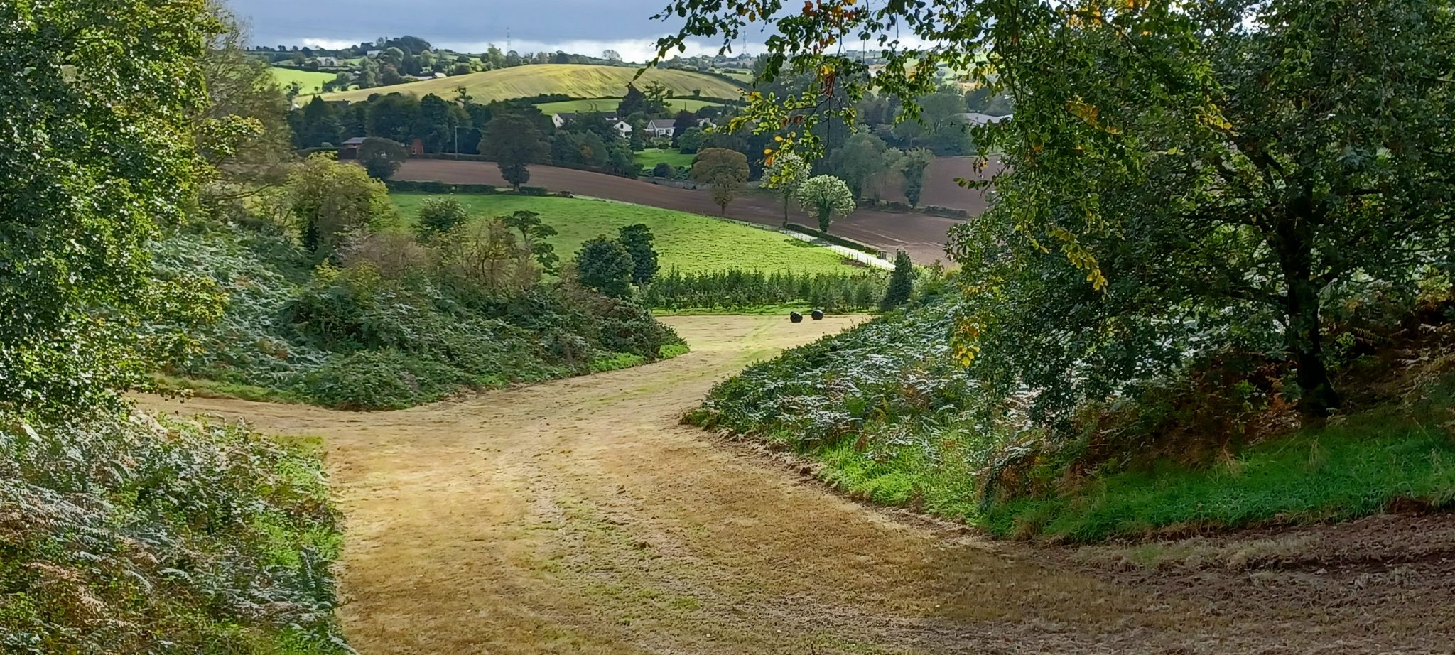 Riding Rough-shod - by Randall Stephen Hall - Jude Collins